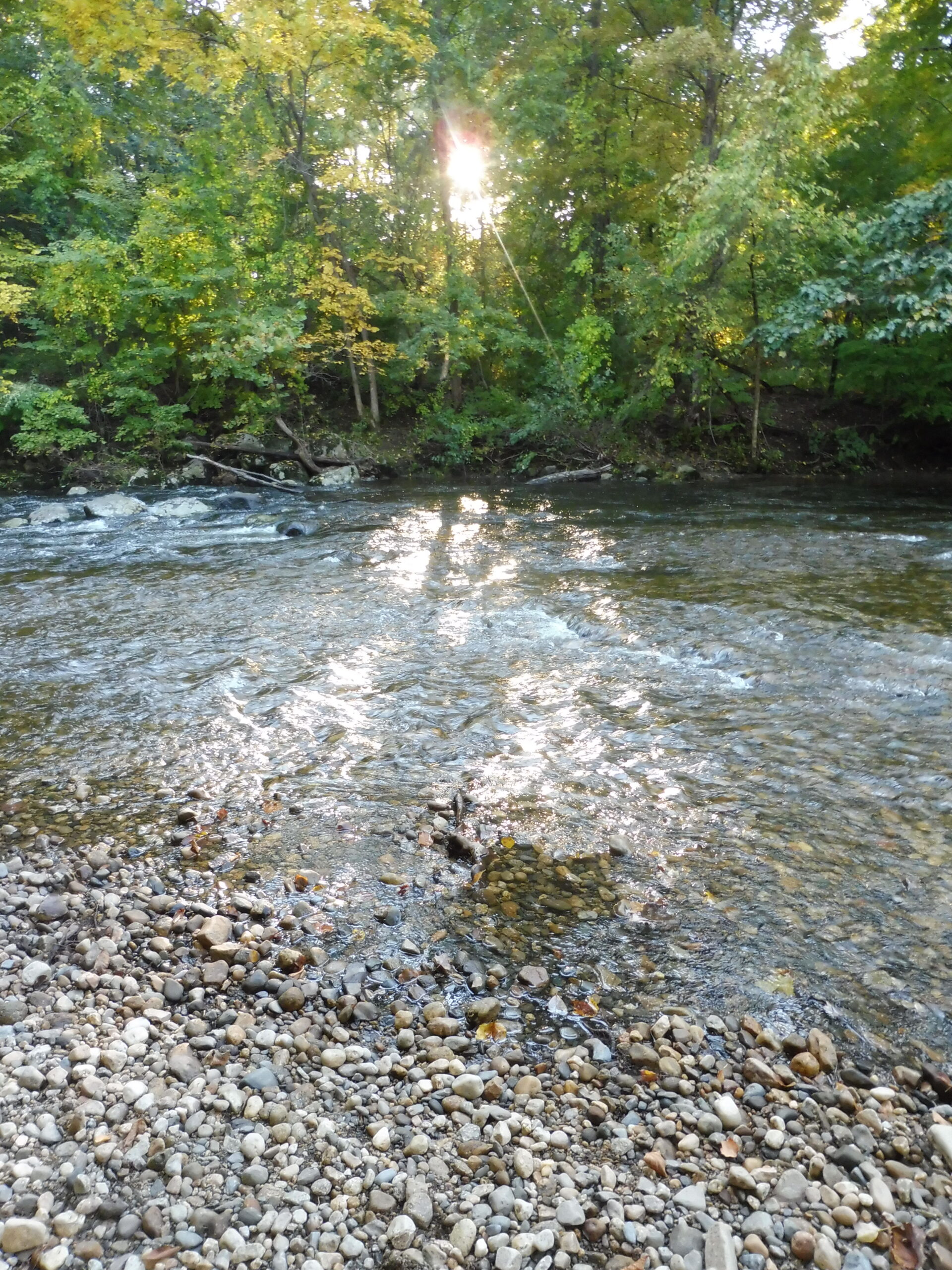 River Exploration for Educators